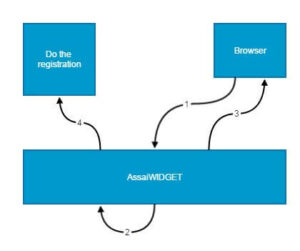 Technical Stories: Developing the Assai Widget - Assai-software
