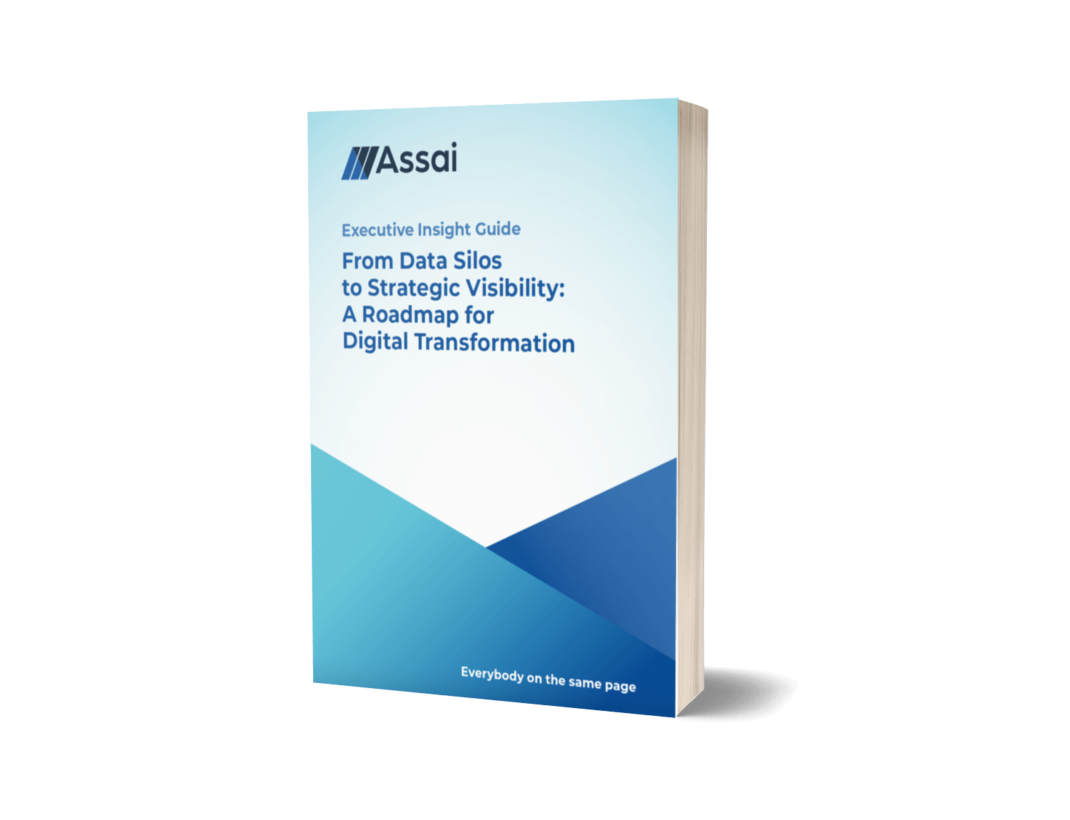 From Data Silos to Strategic Visibility: A Roadmap for Digital ...